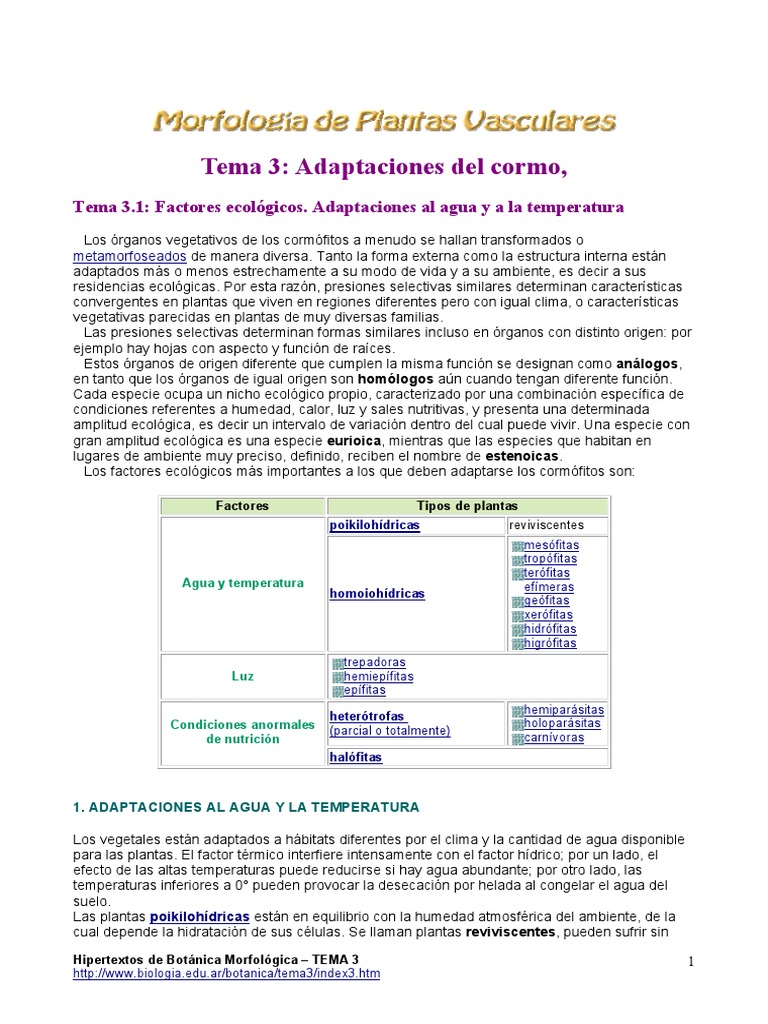 Plantas Vasculares (Cormo) | PDF | Tallo de la planta | Hoja