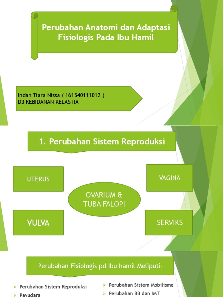 Ke 3 (Perubahan Anatomi & Adaptasi Fisiologis Pada Ibu Hamil) | PDF