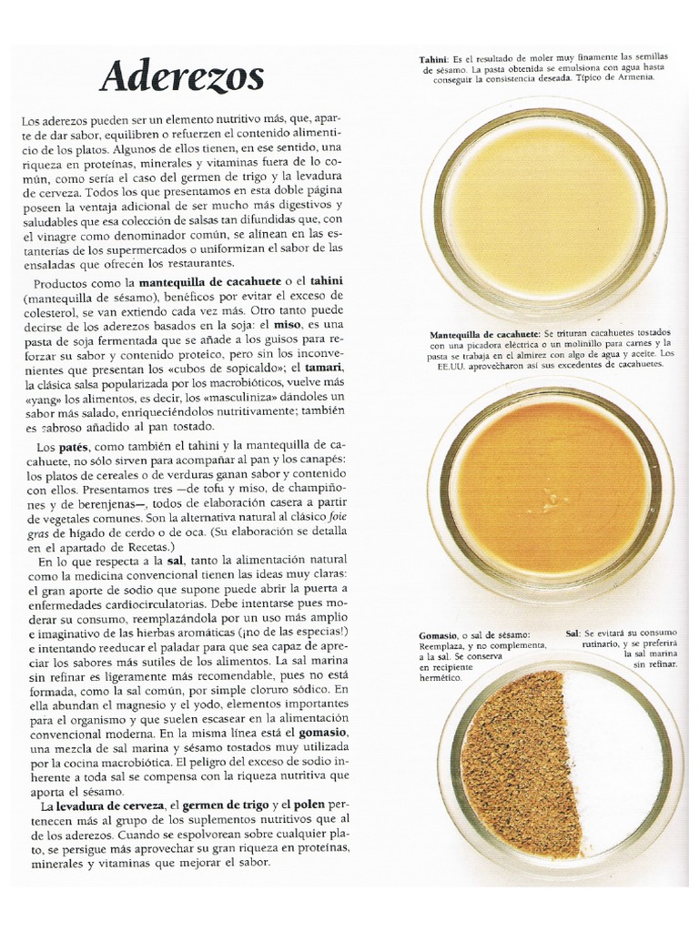 Tipos de Aderezos y Beneficios PDF | PDF