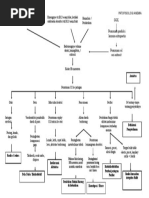 Pathway Anemia | PDF
