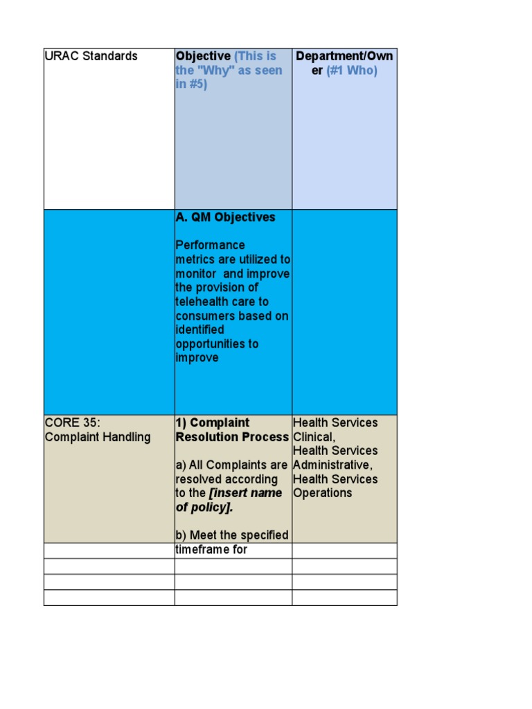 Arete Healthcare Solutions (Work Plan Template) | PDF | Health Care ...