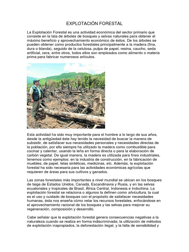 Explotación Forestal | PDF | Los bosques | Sociedad de responsabilidad ...