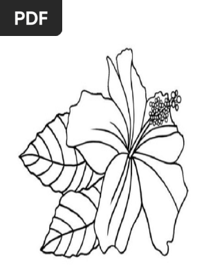 Bunga Raya Colouring Page