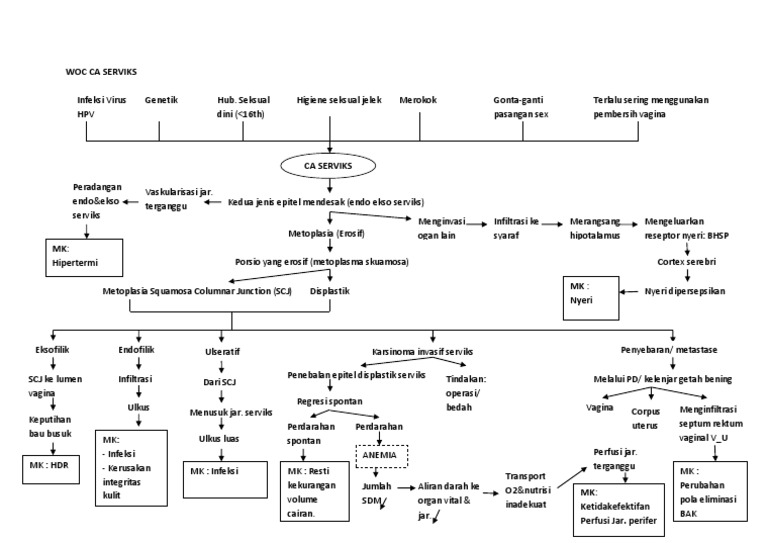 Woc CA Serviks | PDF