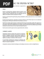 Evidence of Evolution Answer Key | PDF | Anatomy | Organisms