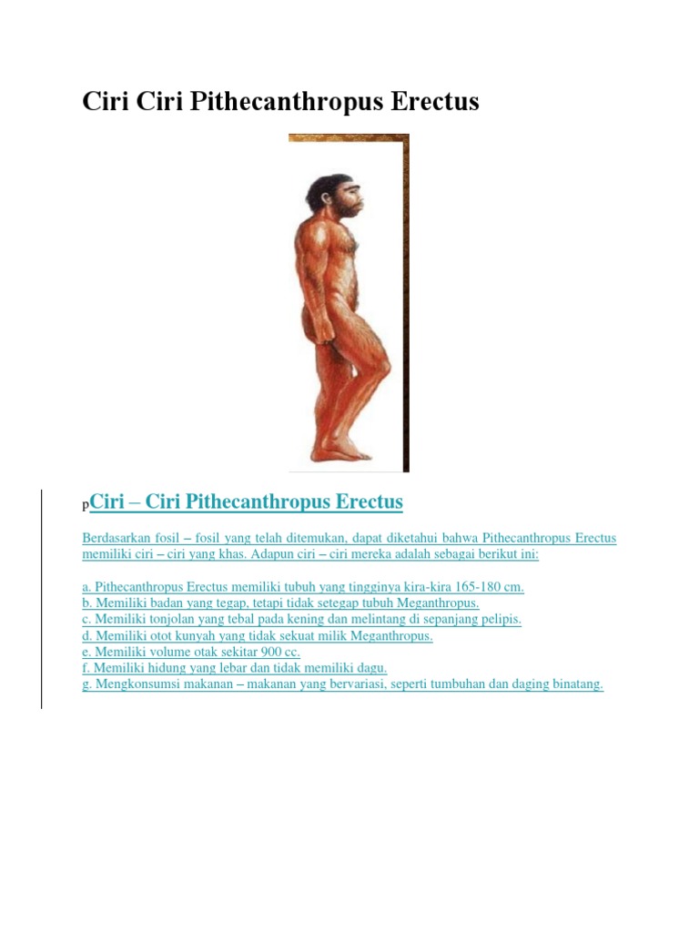 Ciri-Ciri Pithecanthropus Erectus | PDF