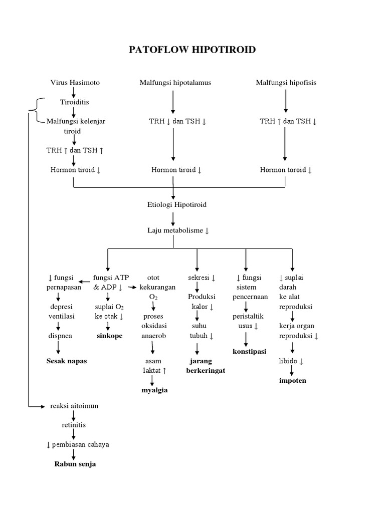 Pathway Hipotiroid | PDF
