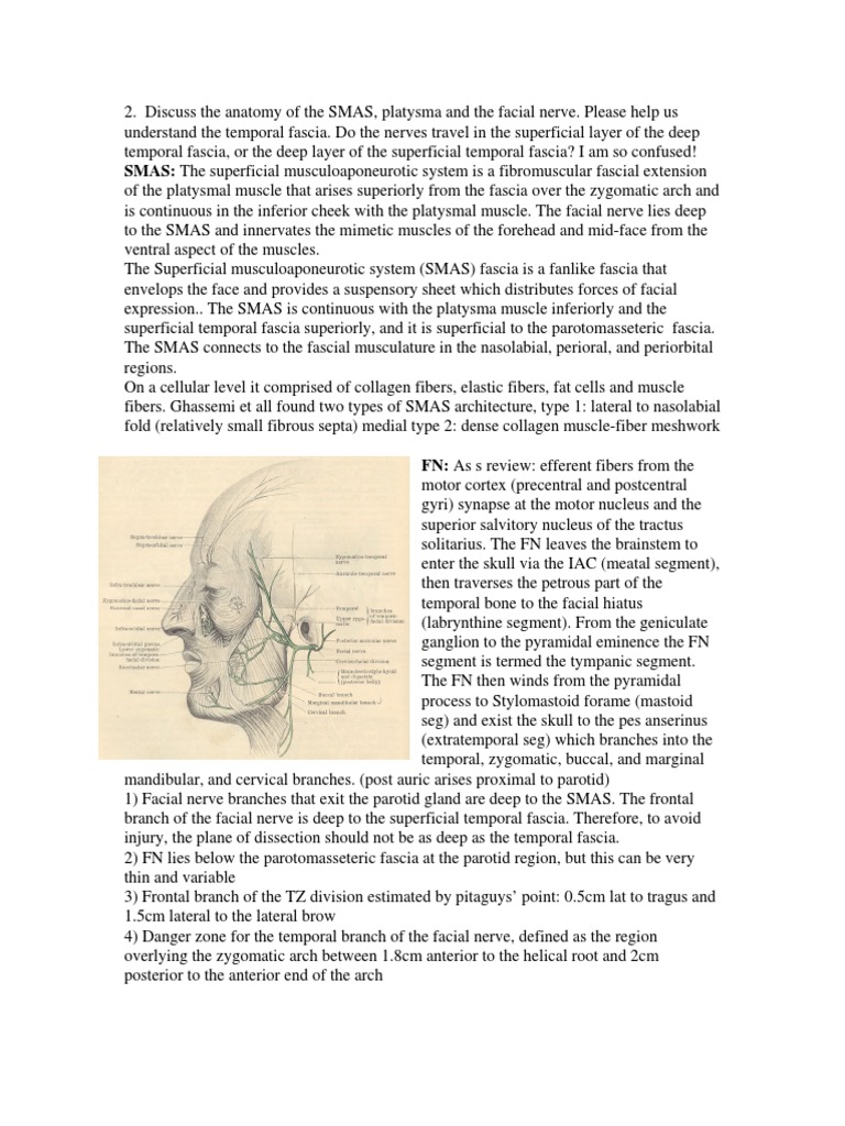 SMAS: The Superficial Musculoaponeurotic System Is A Fibromuscular ...