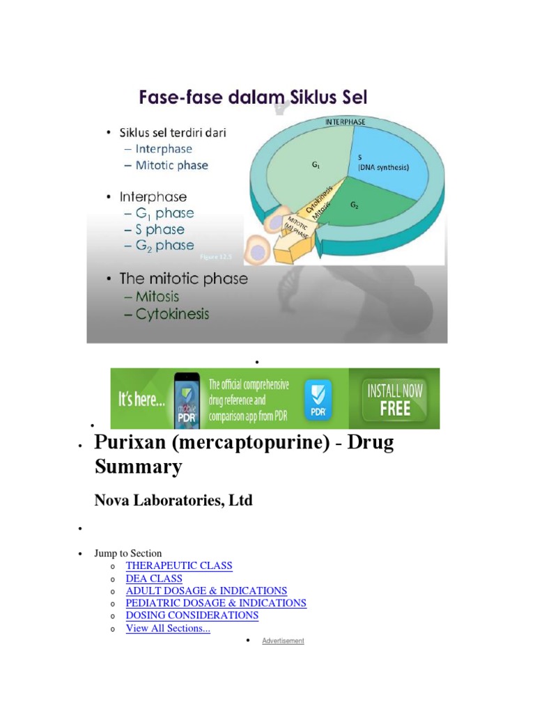 Purixan (Mercaptopurine) - Drug: Nova Laboratories, LTD | PDF | Dose ...