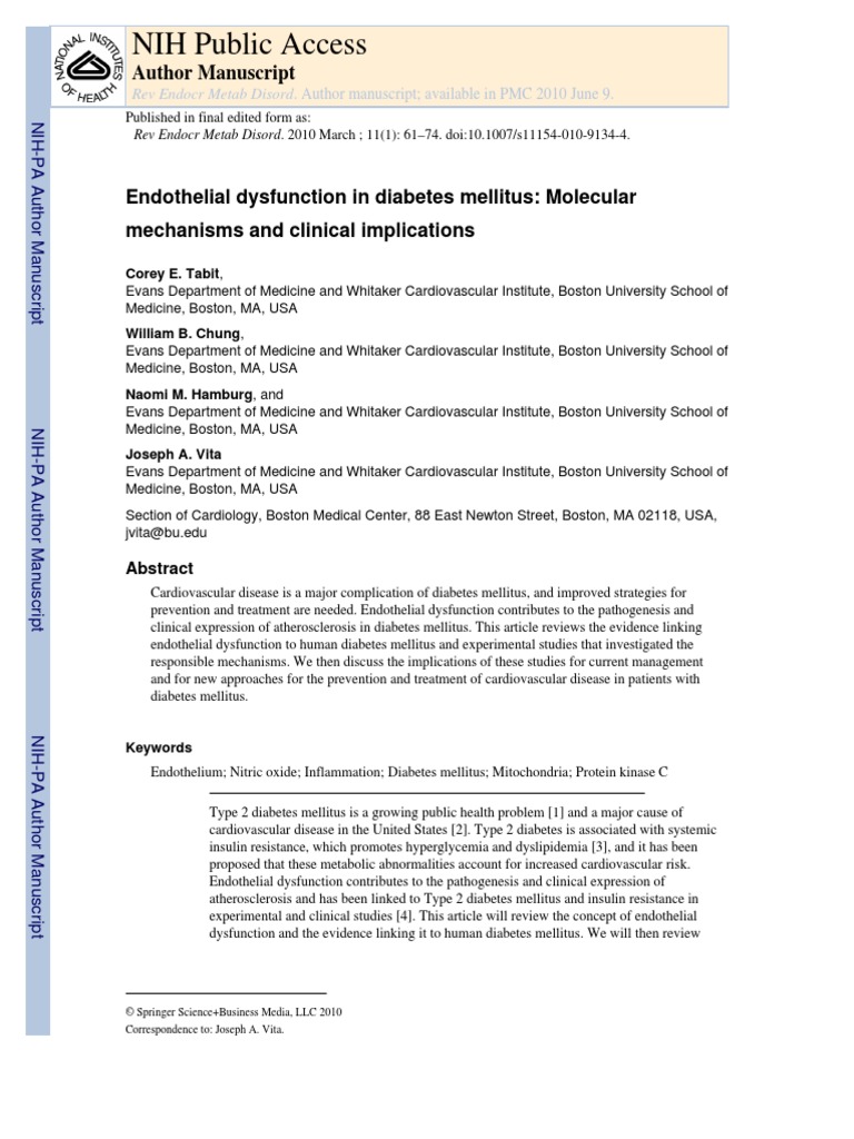 Endothelial Dysfunction in Diabetes | PDF | Inflammation | Insulin ...