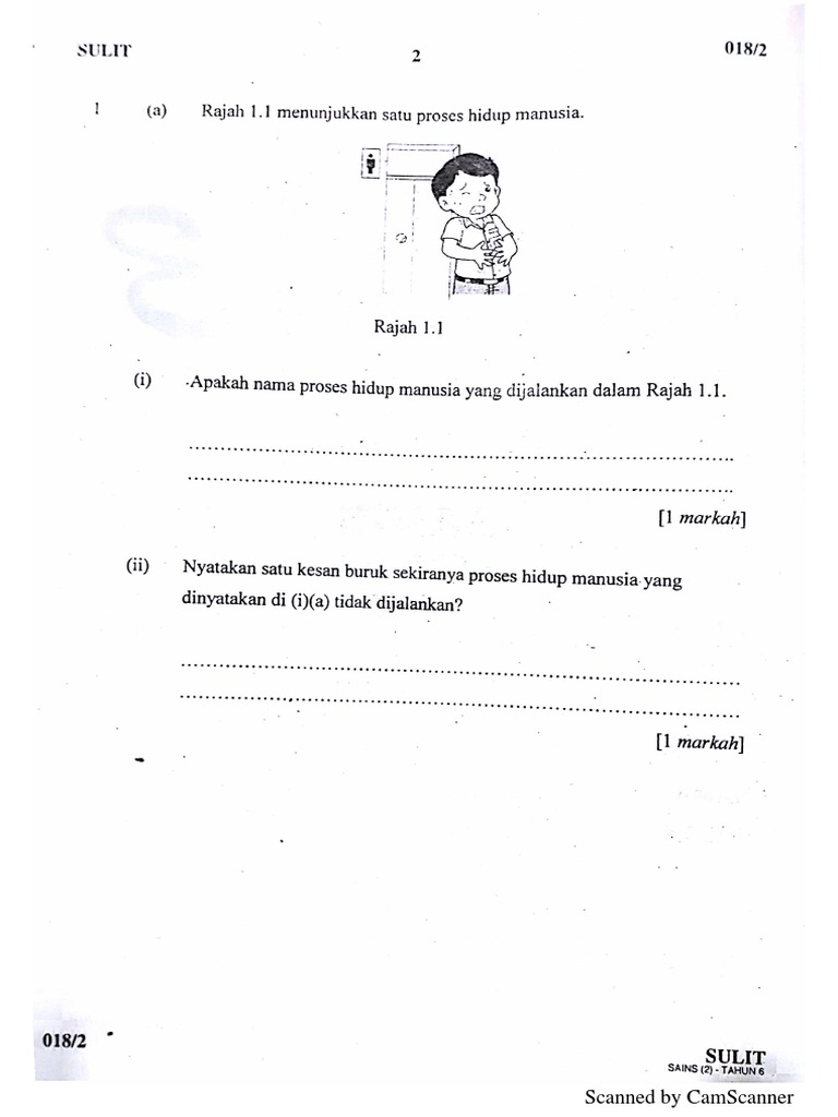 Pahang Sains K2 | PDF