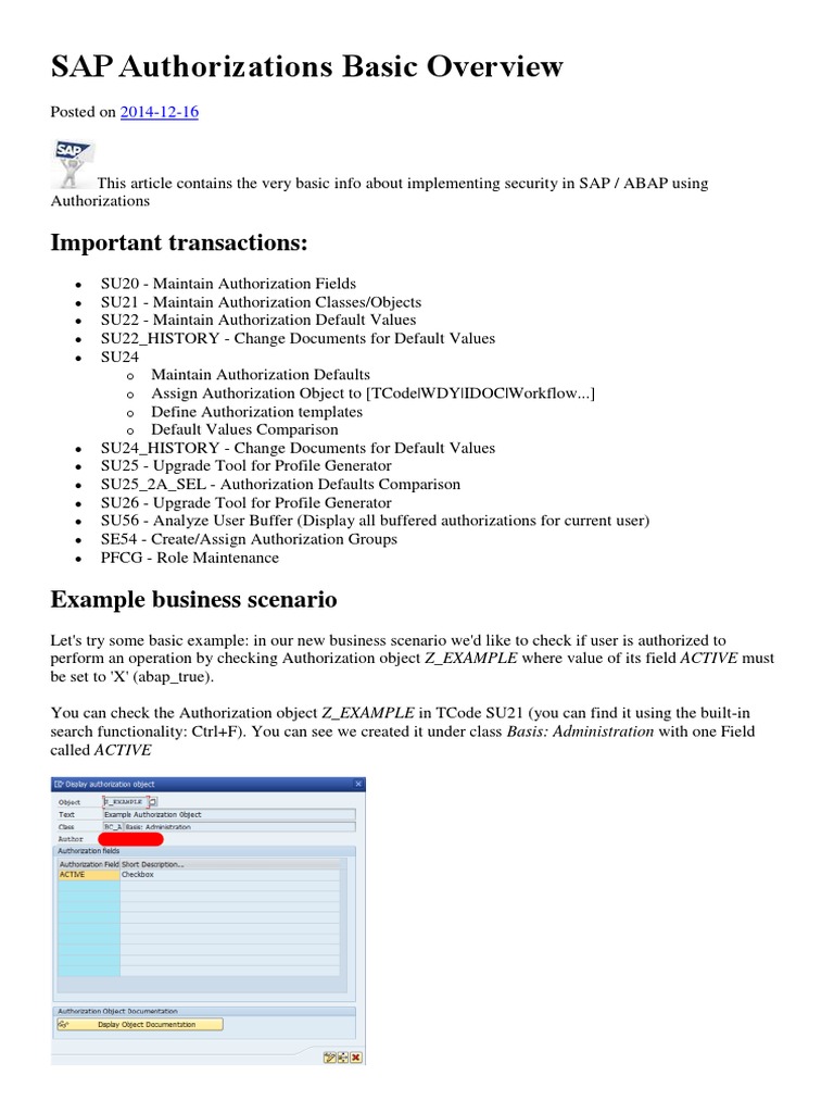 SAP Authorizations Basic Overview | PDF | Information Technology Management | Computer Engineering