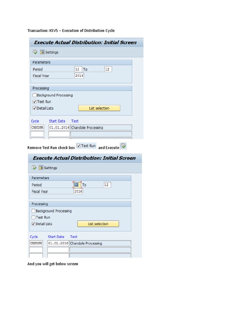 SAP Distribution Cycle Guide | PDF | Software | Areas Of Computer Science
