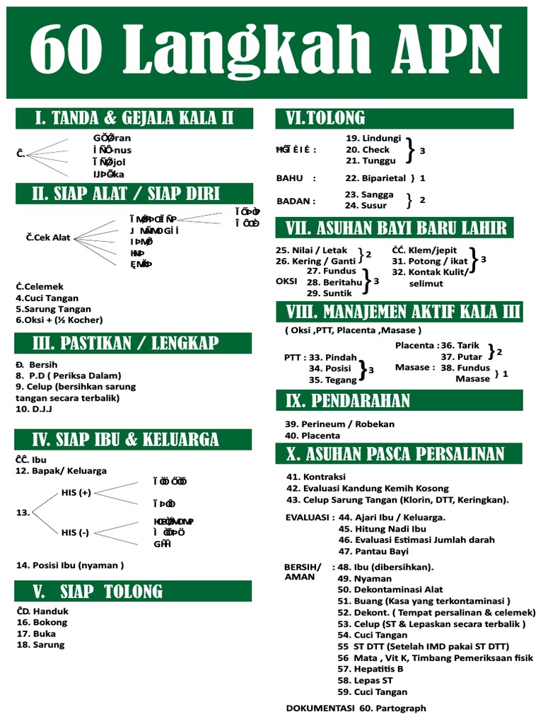 60 Langkah Manajemen Persalinan Normal dan Komplikasi Dasar | PDF