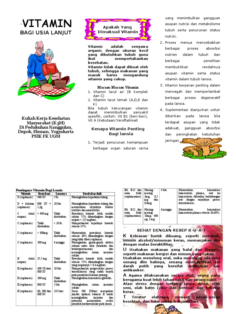 Leaflet Vitamin | PDF