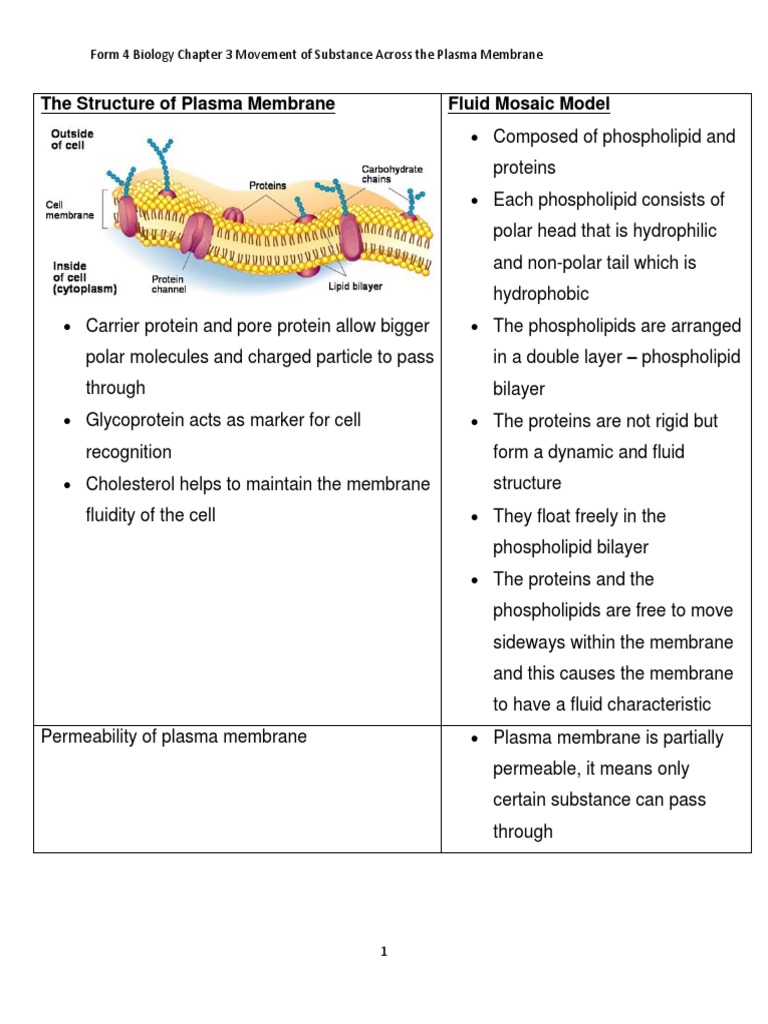 Form 4 Biology Chapter 3 Movement of Substance Across The Plasma ...