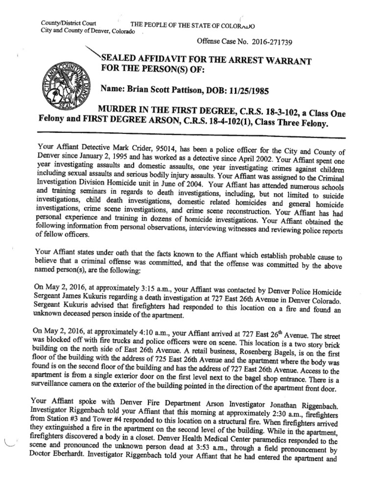Brian Pattison Arrest Affidavit | PDF