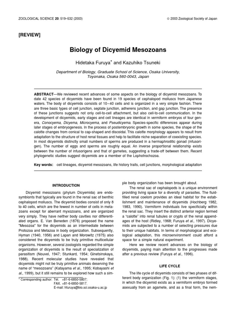 Biology of Dicyemid Mesozoans | PDF | Biology | Anatomy