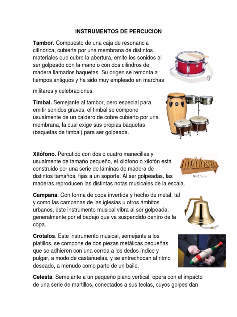 Instrumentos de Percusión Musicales | PDF | Acordeón | Saxofón