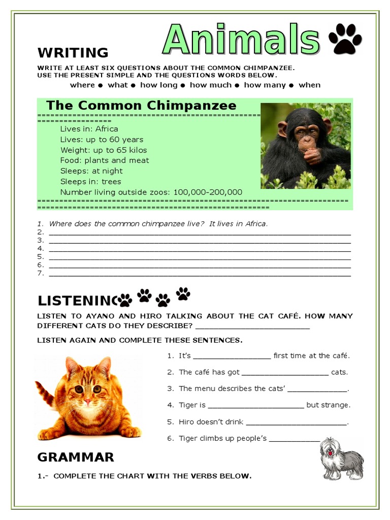 Simple Present Sentences About Animals | PDF | Cooking, Food & Wine