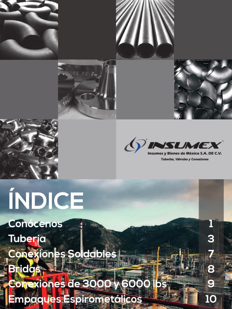 Catálogo Insumex 2017 B | PDF | Tubería (transporte de fluidos ...