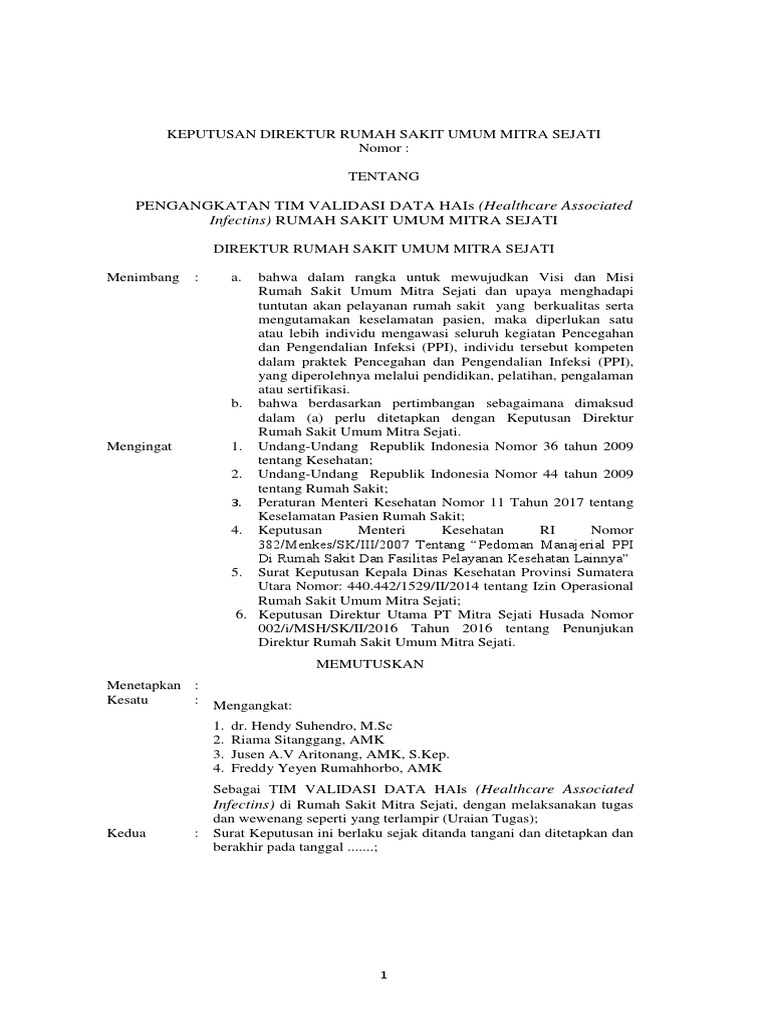 SK Tim Validasi Data Hais Rsums | PDF