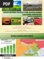 Talahib and Saba Banana Pseudo Stem As An Alternative Paper Bag Final ...