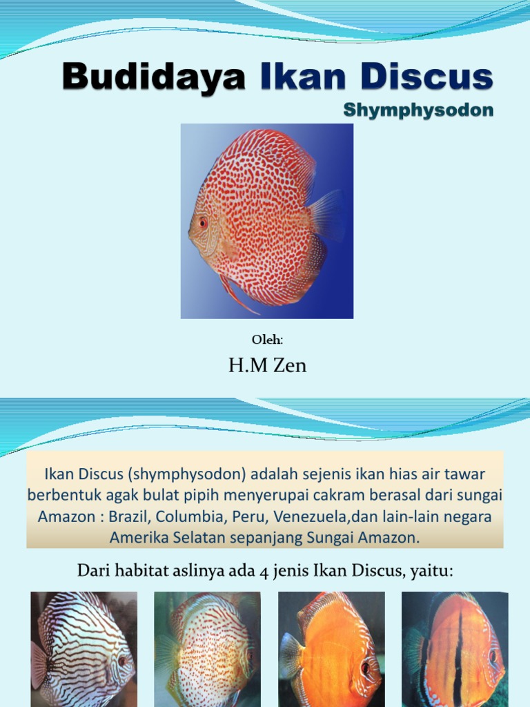 Budidaya Ikan Discus New | PDF