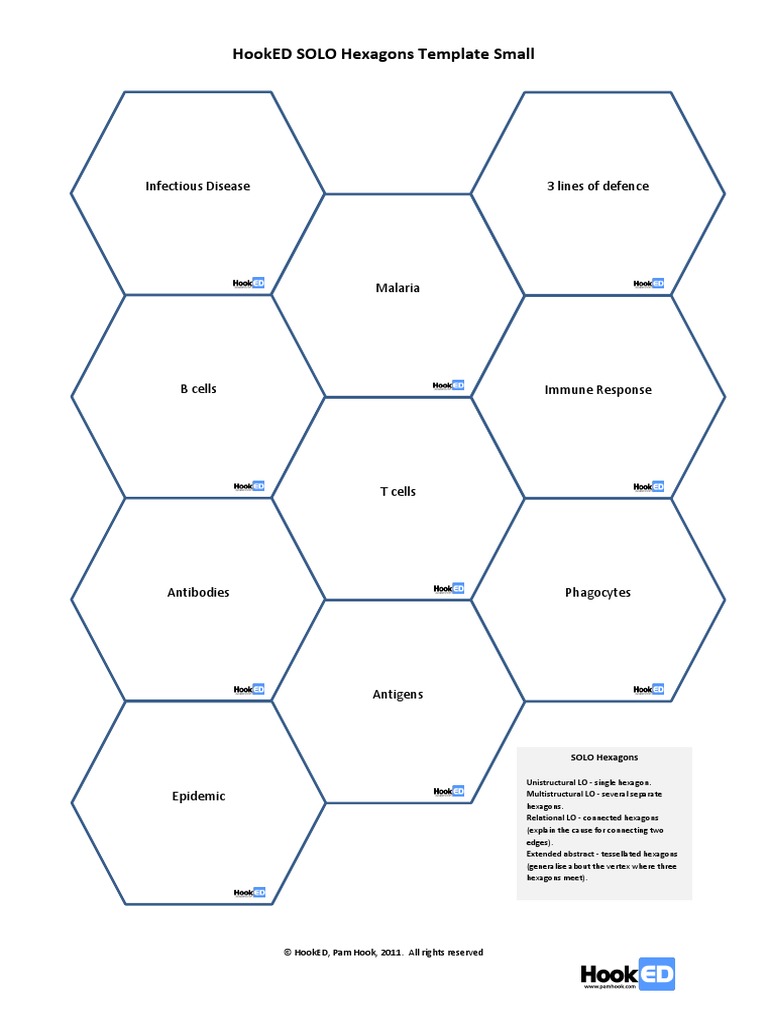 Hooked Solo Hexagons 8 Small | PDF