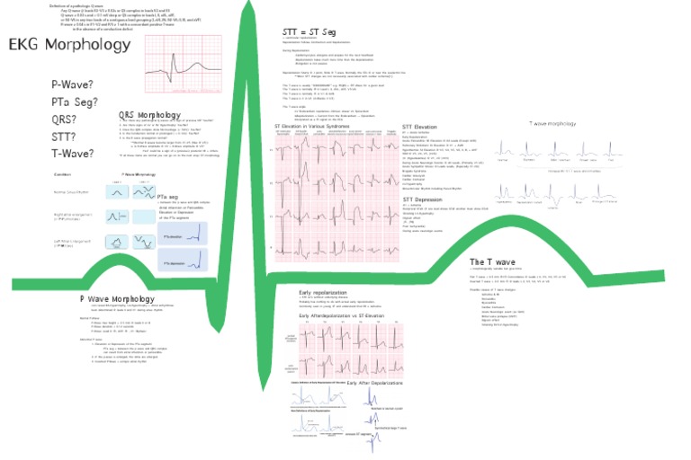 EKG MORPHOLOGY.pdf | Electrocardiography | Cardiovascular System