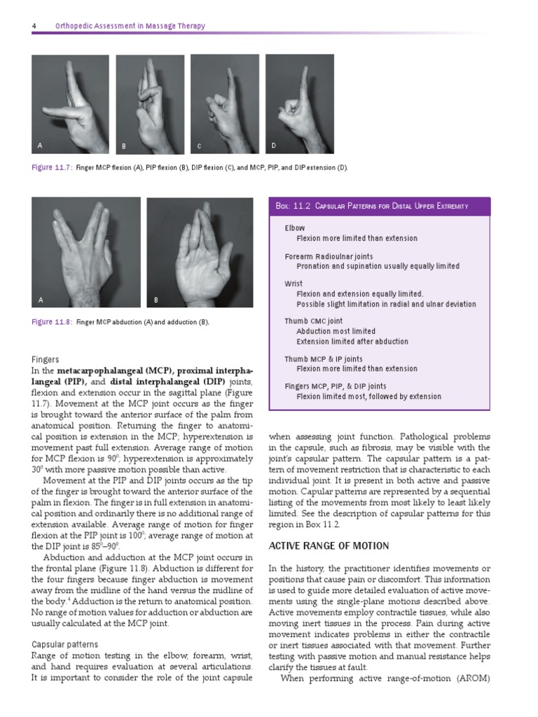 Orthopedic Assessment Sample PDF | PDF