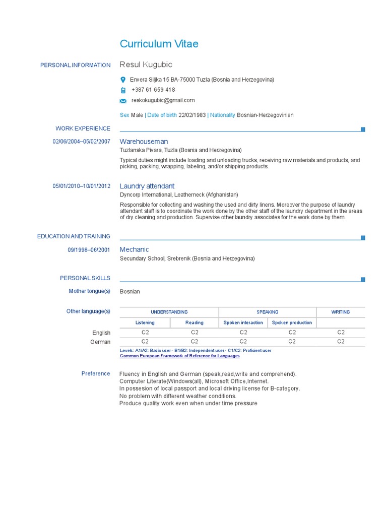 CV Format | PDF | Bosnia And Herzegovina | Laundry