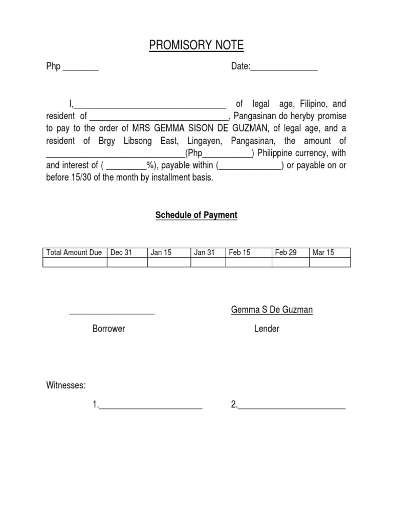 Promisory Note: Schedule of Payment | PDF