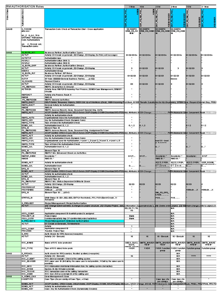 SAP Record Management Authorizations | PDF | Information Technology | Computer Engineering