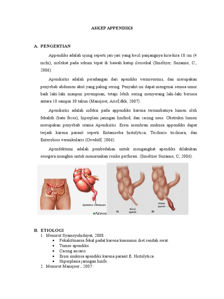 LP Apendisitis Post Apendiktomi | PDF