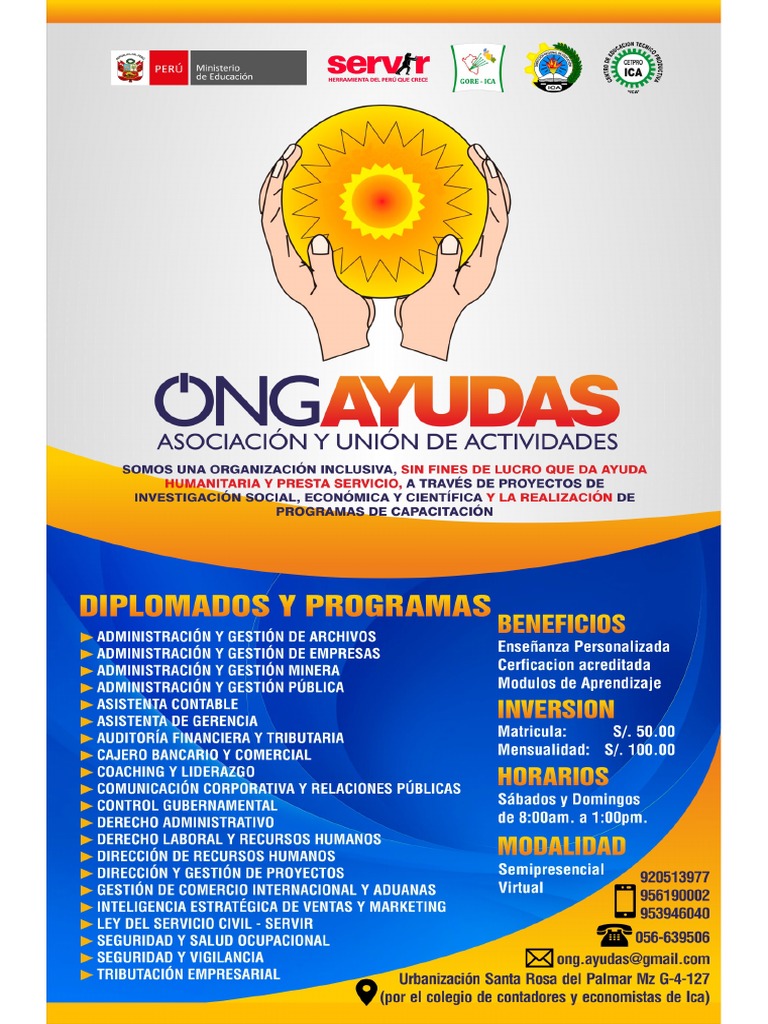 Banner Ong 2017 | PDF