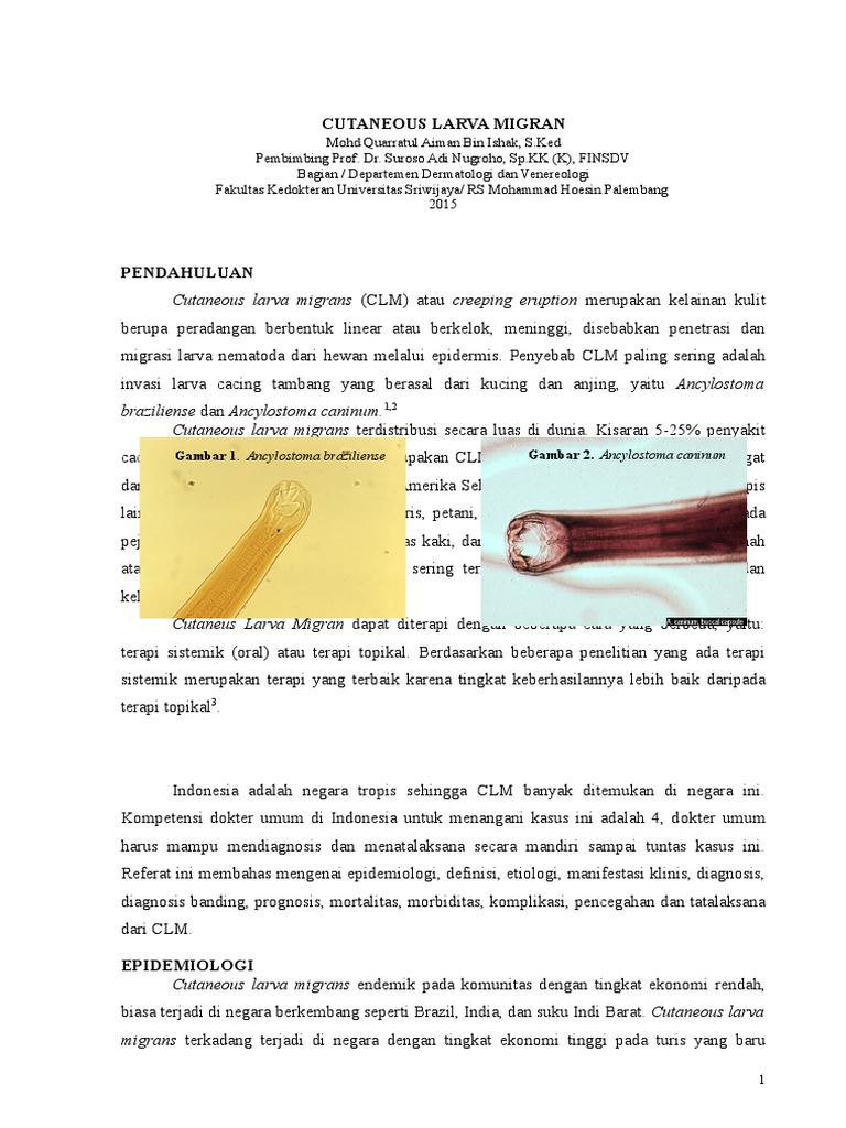 Creeping Eruption Untuk Maju | PDF