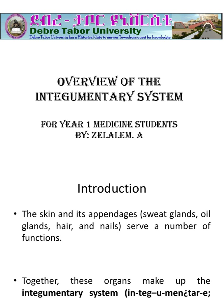 Overview of The Integumentary System: For Year 1 Medicine Students By ...