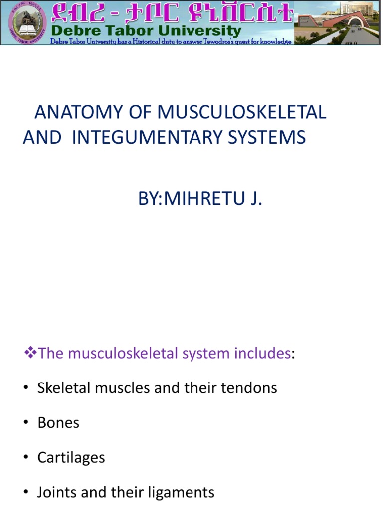 Anatomy and Development of the Musculoskeletal and Integumentary ...