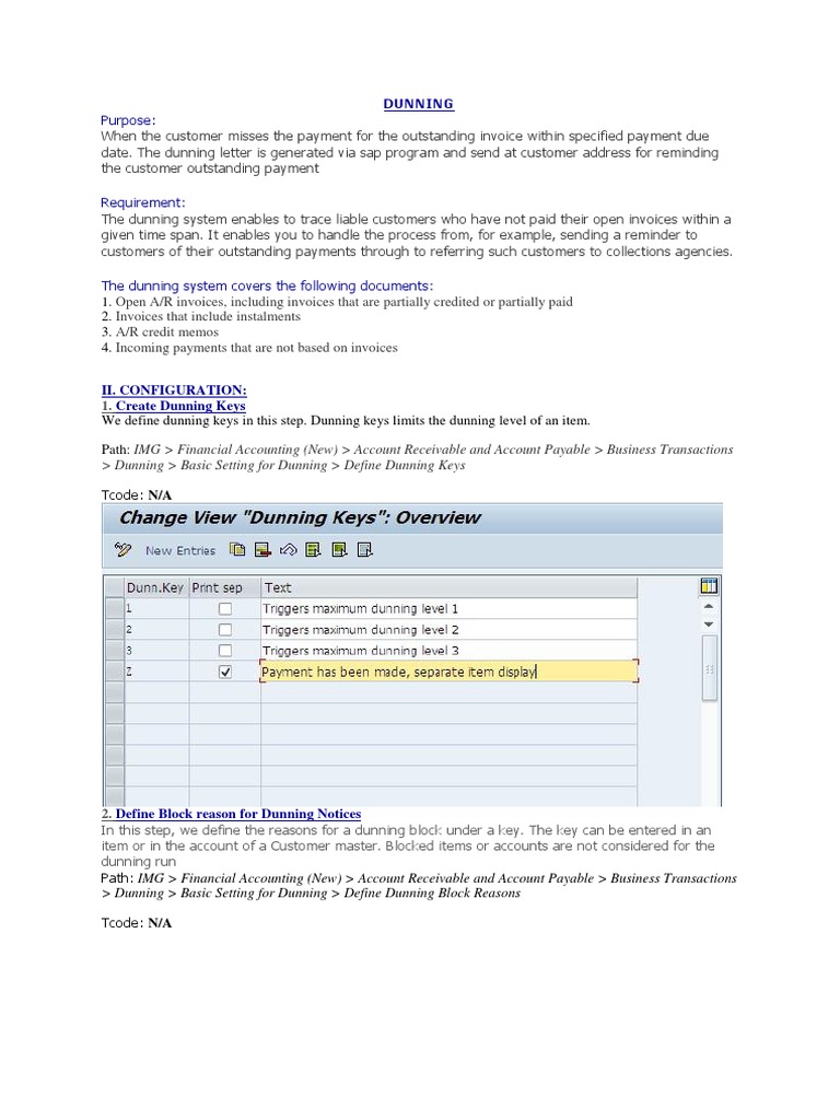 SAP Dunning Process Configuration Guide | PDF | Debits And Credits ...