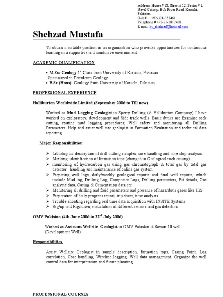 Shehzad CV | PDF | Petroleum | Natural Gas