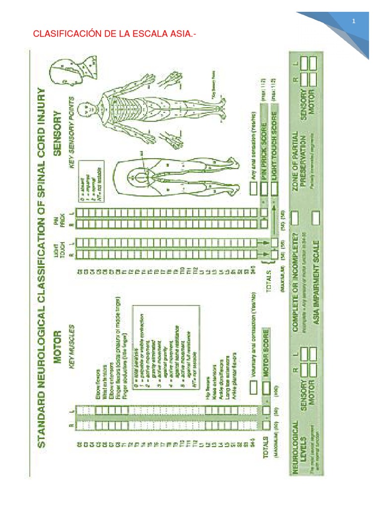 Clasificación de La Escala Asia | PDF | Lesión de la médula espinal ...
