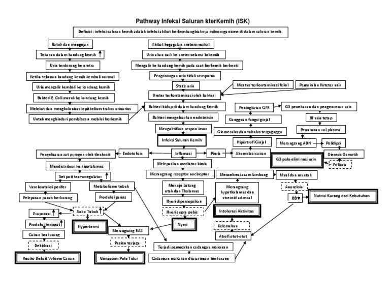 Pathway Infeksi Saluran KterKemih NURHIDAYAH | PDF
