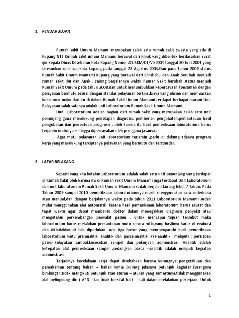 Program Mutu Lab RS Mamami | PDF