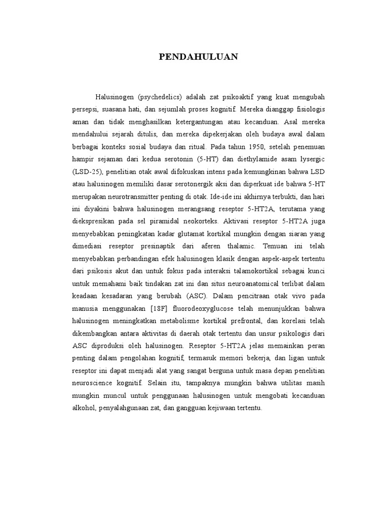 Makalah Halusinogen | PDF | Pengembangan Diri