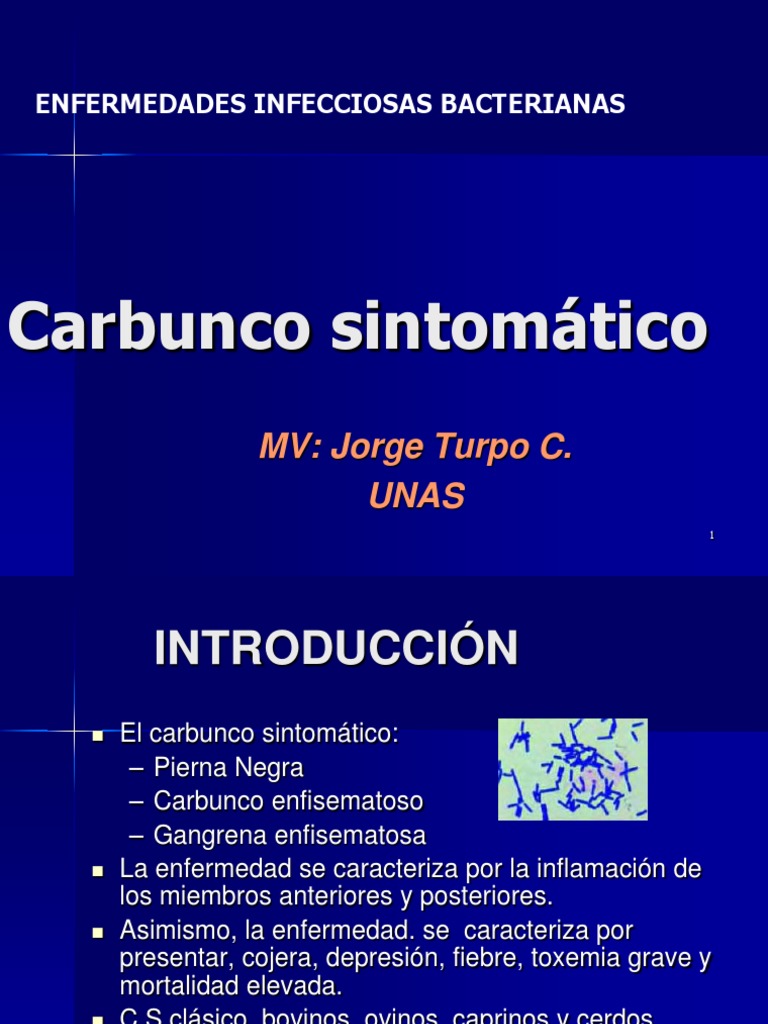 Carbunco Sintomático | PDF | Ántrax | Septicemia