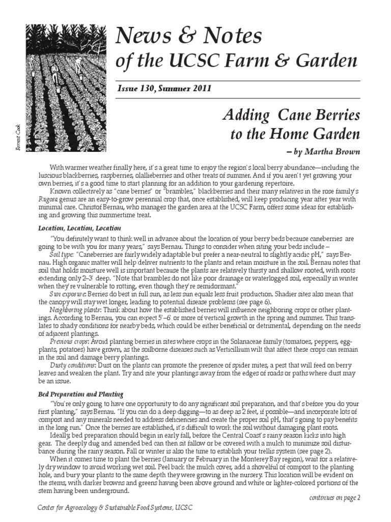 News & Notes: of The UCSC Farm & Garden | PDF | Berry | Raspberry