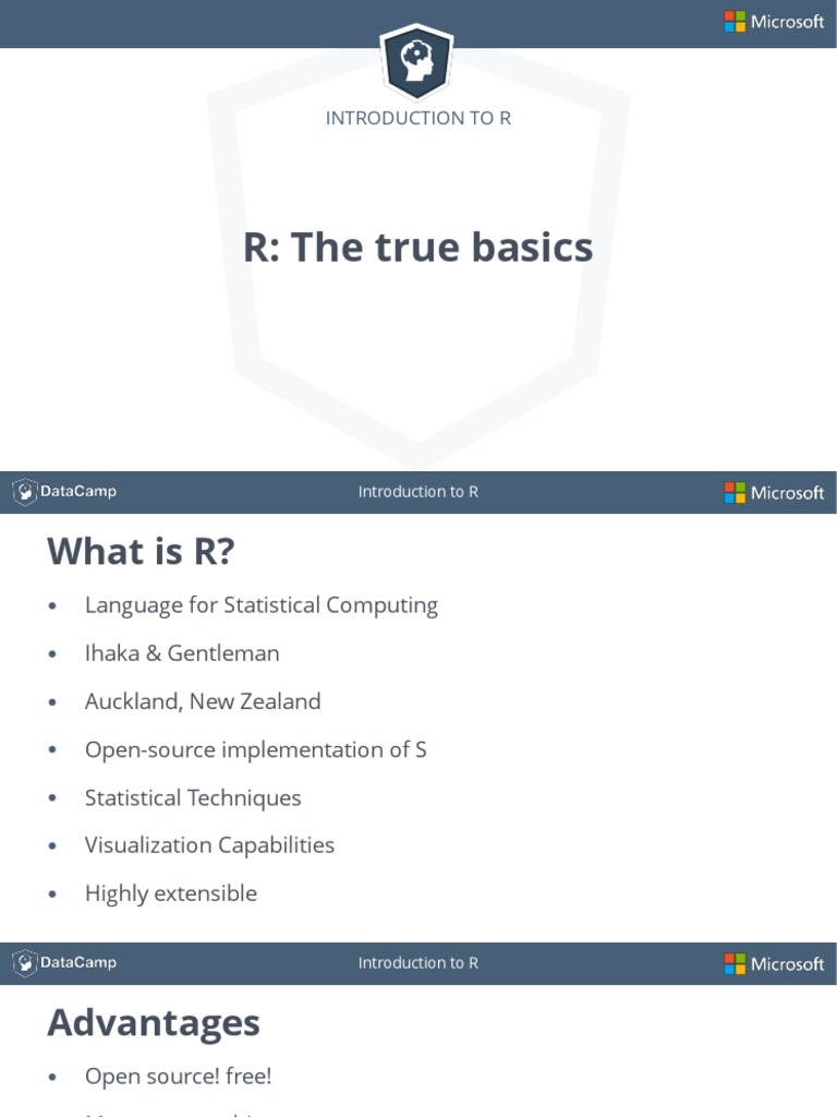 1.1 The - True - Basics PDF | PDF
