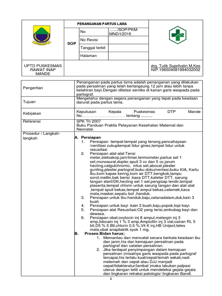 Sop Penanganan Partus Lama | PDF