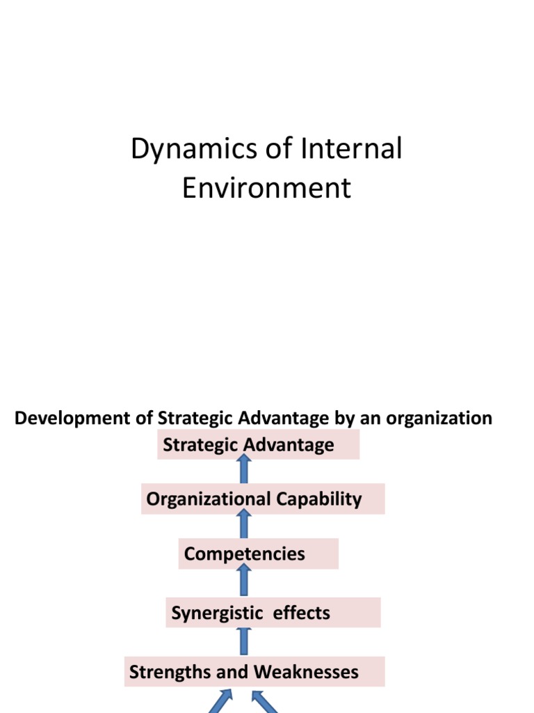 Dynamics of Internal Environment in Business | PDF | Competence (Human ...